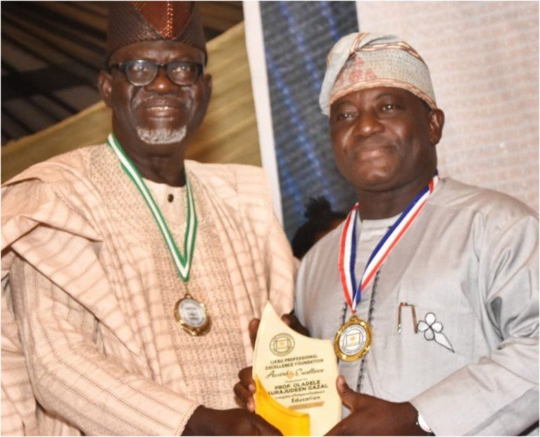 Ijebu Professional Excellence Foundation Honours 22 Indigenes - City ...