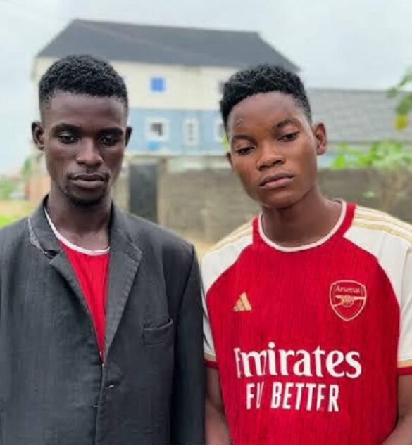 written by Promise Babatunde January 20, 2025 5 minutes read