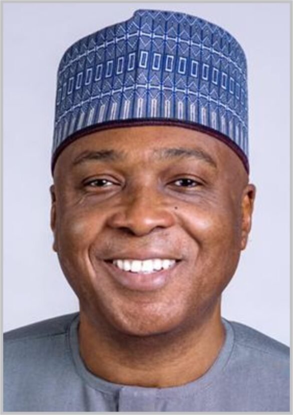 How Dr. BUKOLA SARAKI Plans To Make PDP Stronger