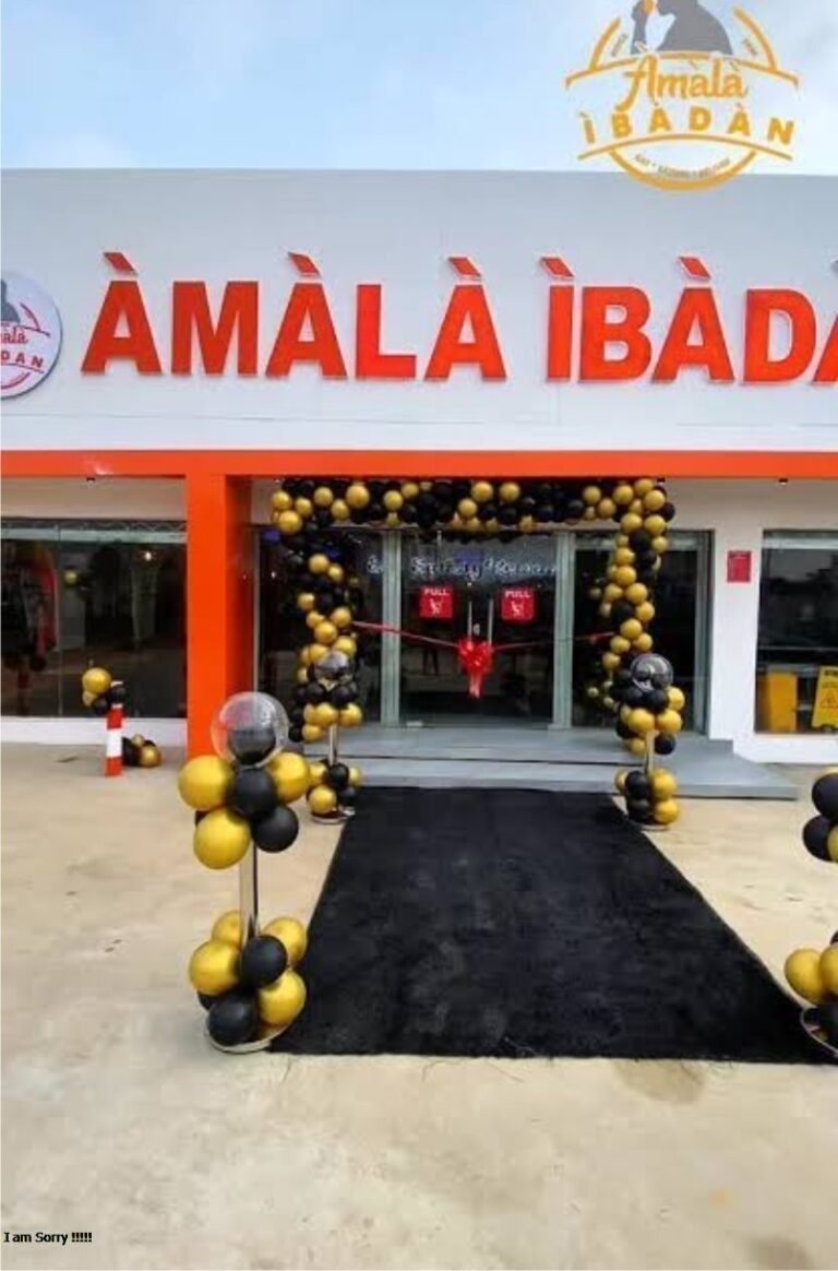 Where To Get The Best Amala In ALIMOSHO